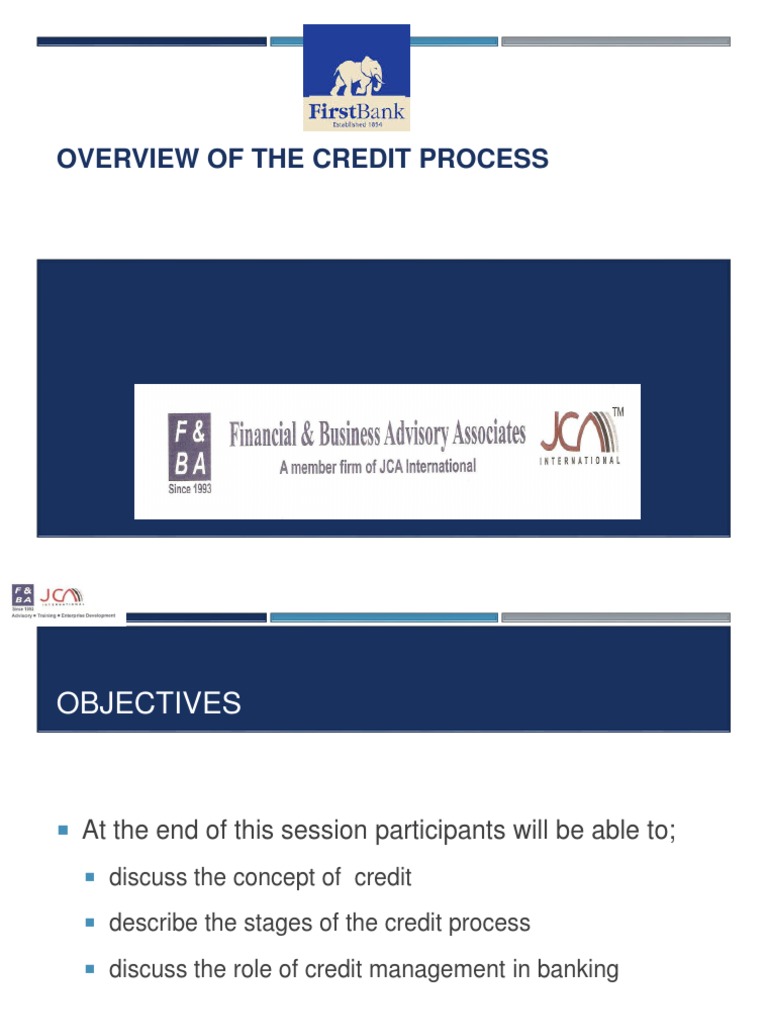 Credit Process Overview Guide | PDF | Credit (Finance) | Banks
