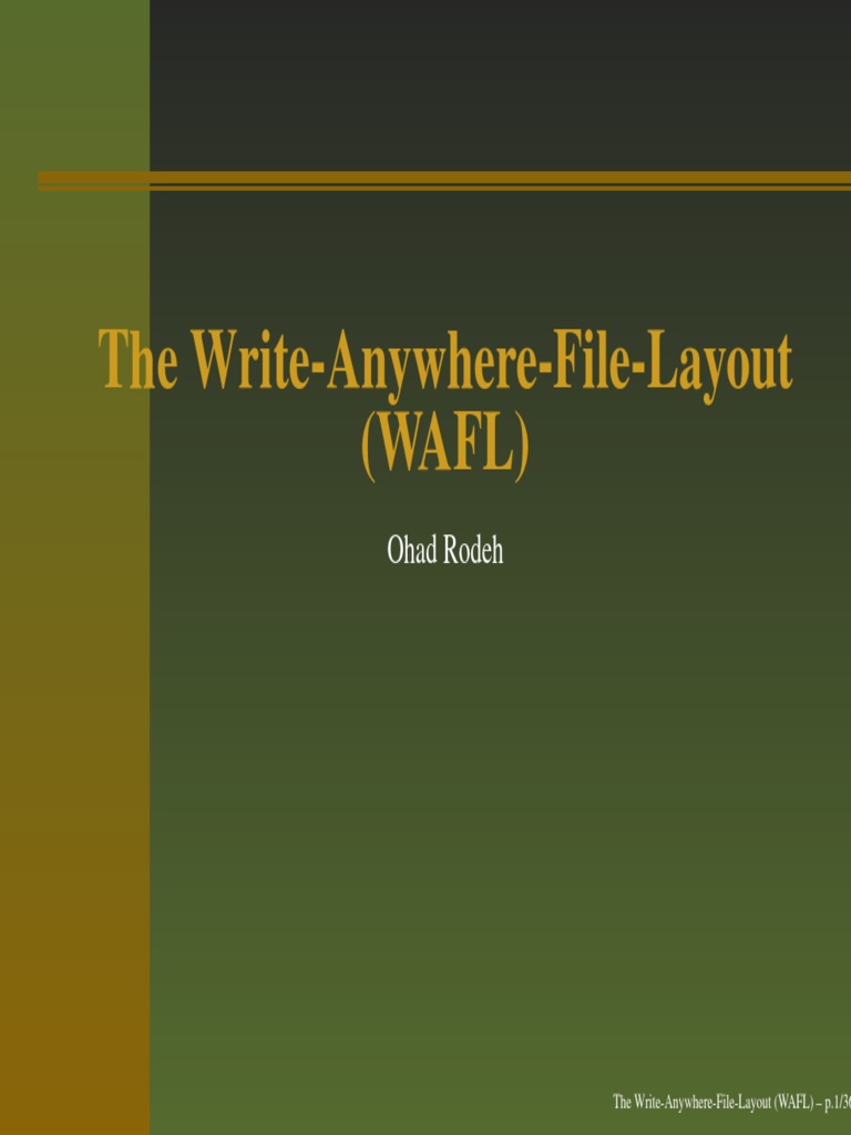 WAFL | PDF | File System | Cache (Computing)