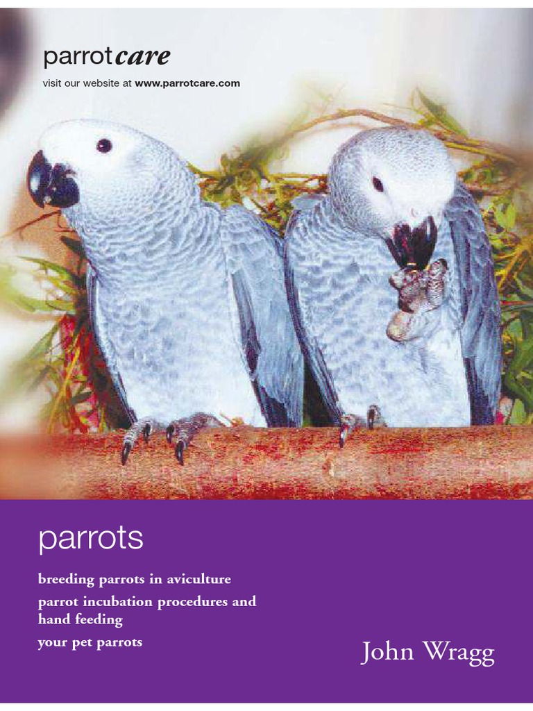 Parrot Rearing Guide | Parrot | Birds