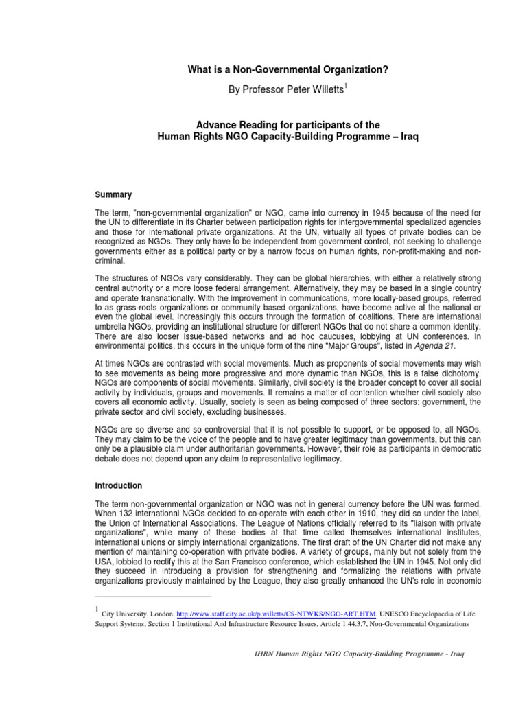 3-what-is-an-ngo-pdf-non-governmental-organization-advocacy-group