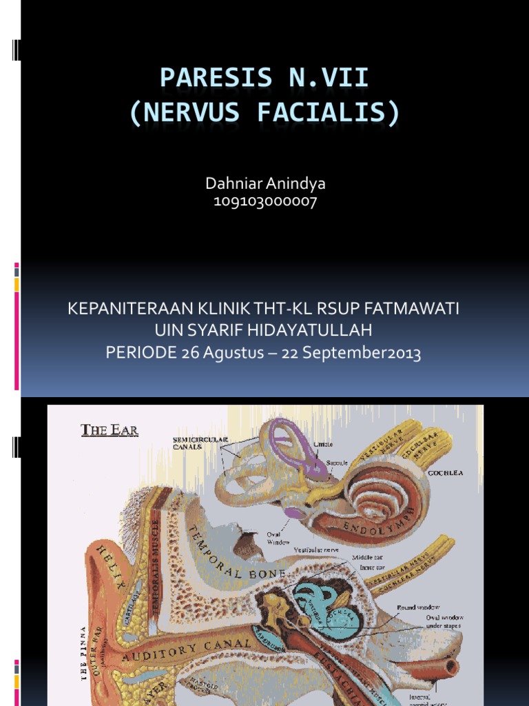 Parese Nervus 7 | PDF