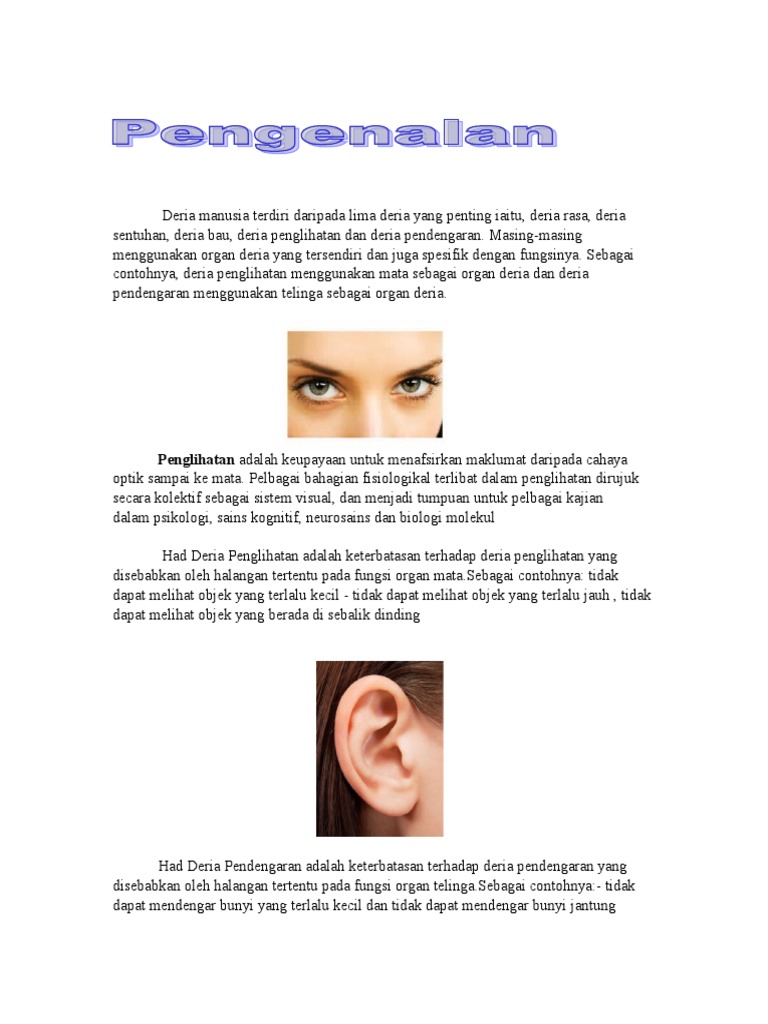 Deria Manusia Terdiri Daripada Lima Deria | PDF | Kesehatan Holistik