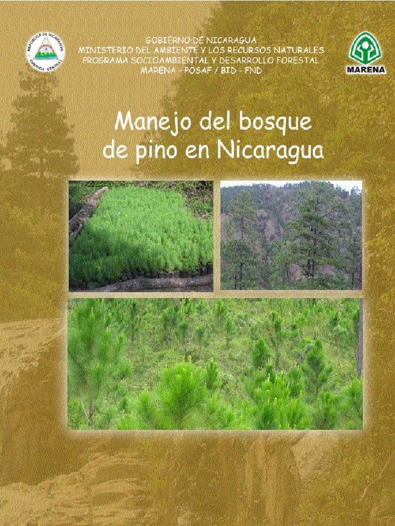 Manual Manejo de Bosque Pino PDF | PDF | Gestión de bosques | Los bosques