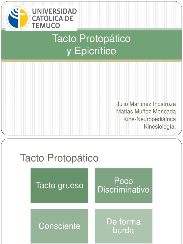 Tacto Protopático y Epicrítico en Kinesiología | PDF | Piel | Neurobiología