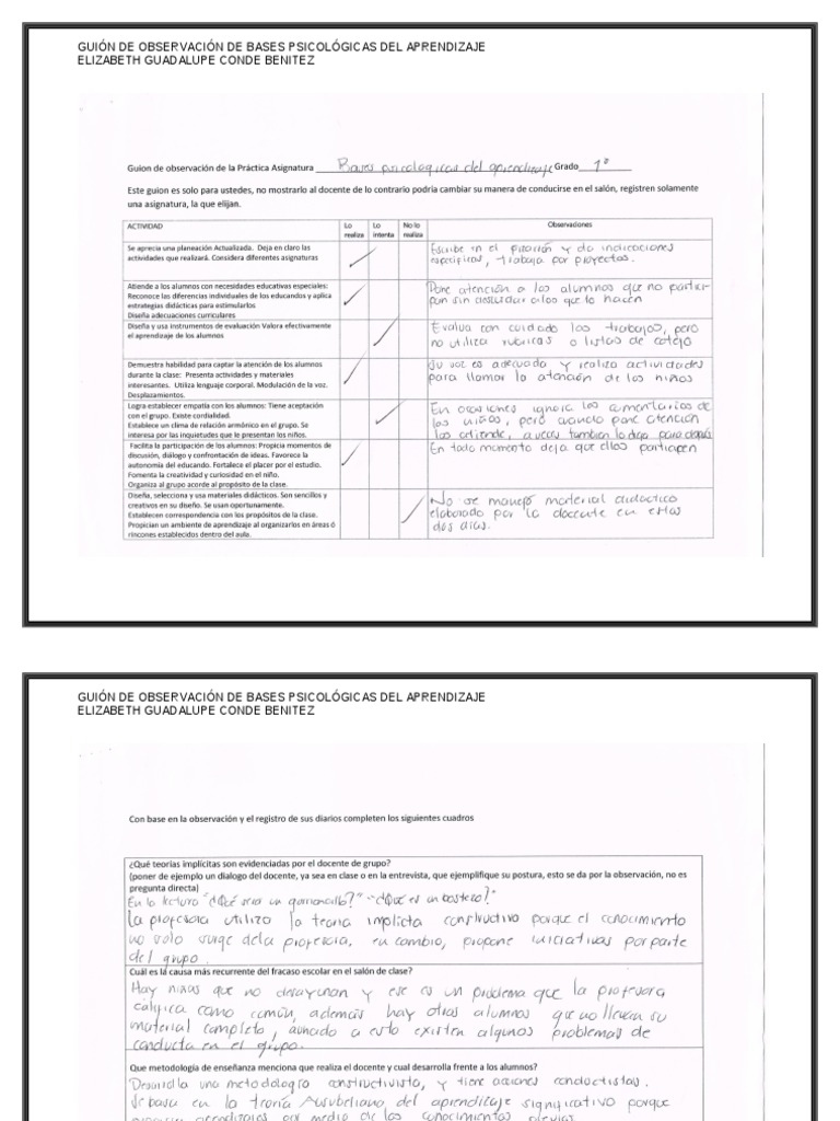Psic Guion Esc | PDF
