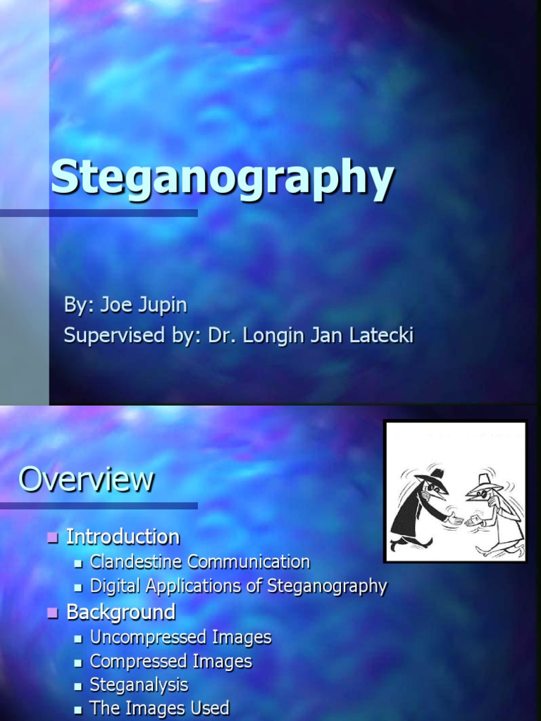 Steganography | PDF | Telecommunications Engineering | Computer Data