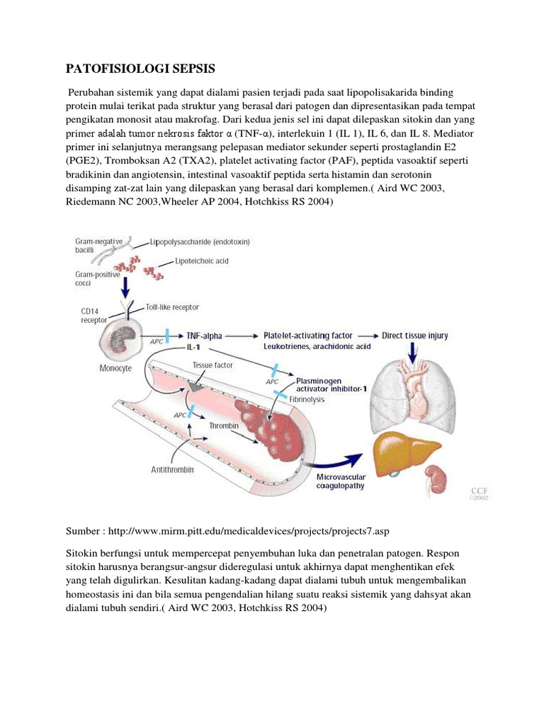 Patofisiologi Sepsis | PDF