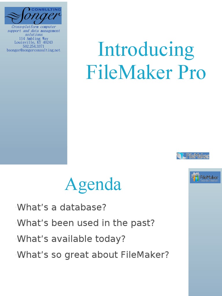 Filemaker 101 Pdf File Maker Spreadsheet