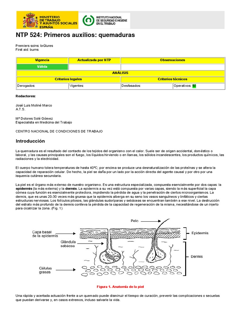NTP 524 Primeros Auxilios Quemaduras | PDF | Quemar | Piel