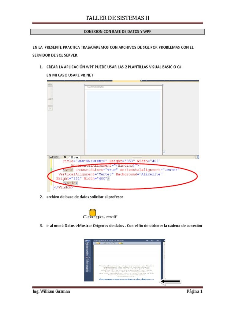 Conexion Con Base de Datos y WPF | PDF