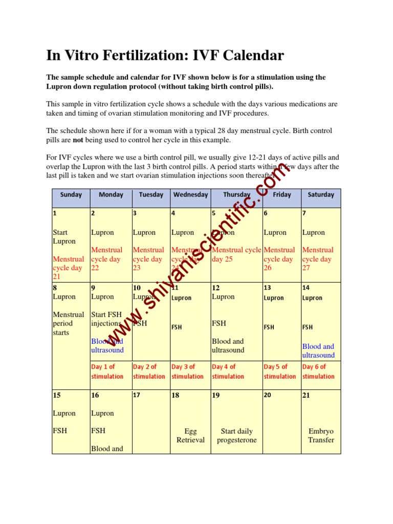 IVF Cycle Calendar Example | PDF | In Vitro Fertilisation | Menstrual Cycle