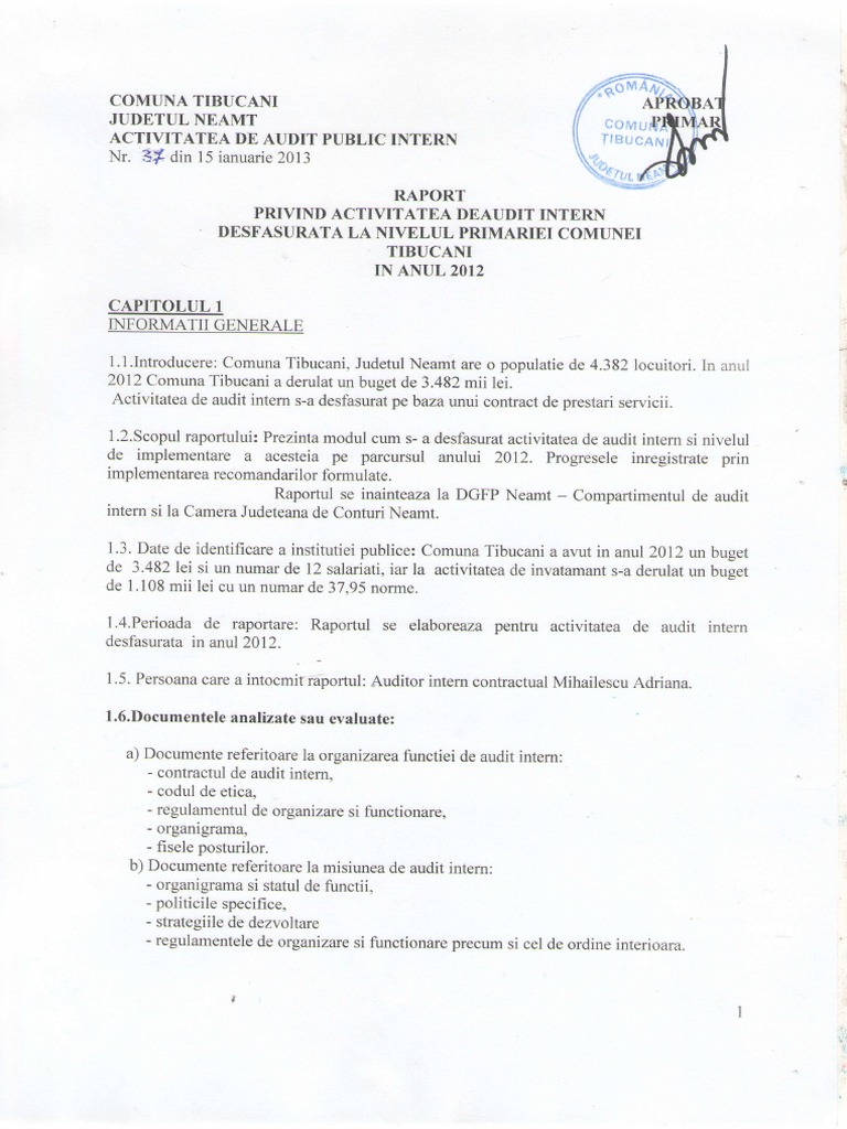 Raport Audit Intern | PDF