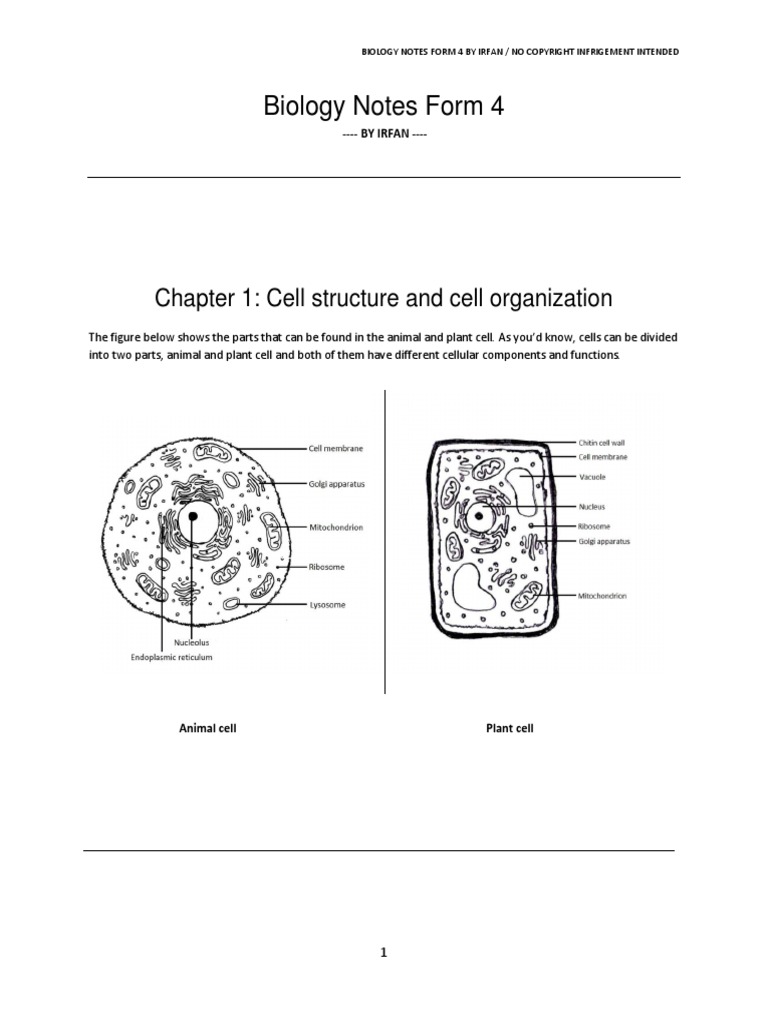 Endoplasmic Reticulum Class 9 Science Notes CBSE Class 9 Science