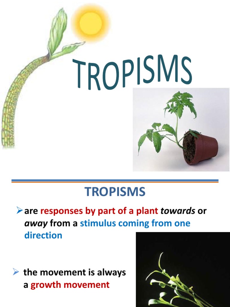 Tropisms 130309084055 Phpapp01 | PDF