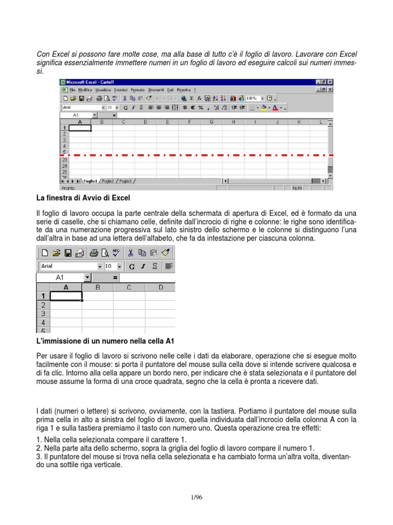 Manuale Excel | PDF