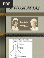 Sysmex KX 21 Histogram Interpretation Handbook | PDF | Anemia | White ...