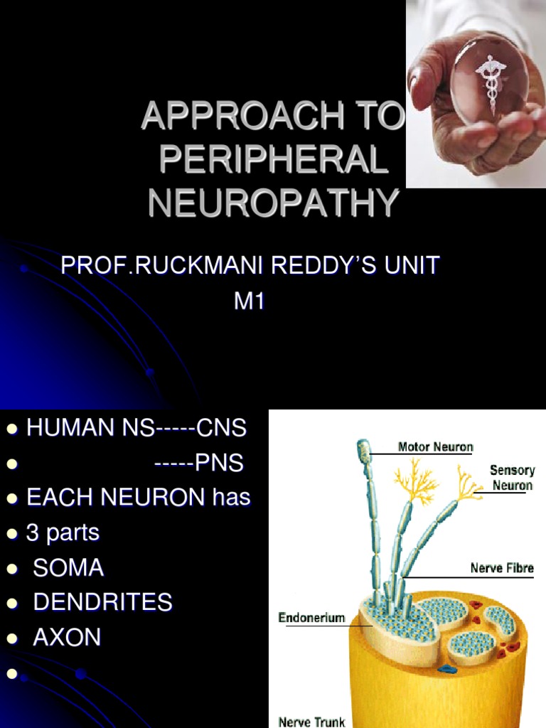 Approach to Peripheral Neuropathy | Peripheral Neuropathy | Nervous System