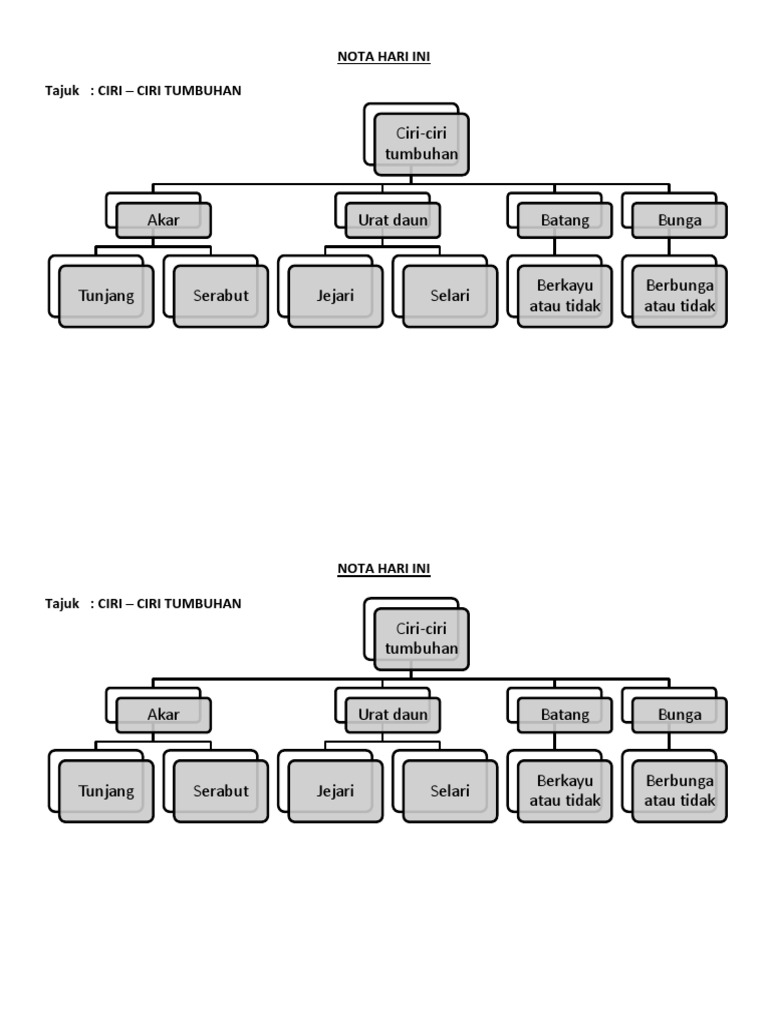 Peta Minda Ciri Tumbuhan | PDF
