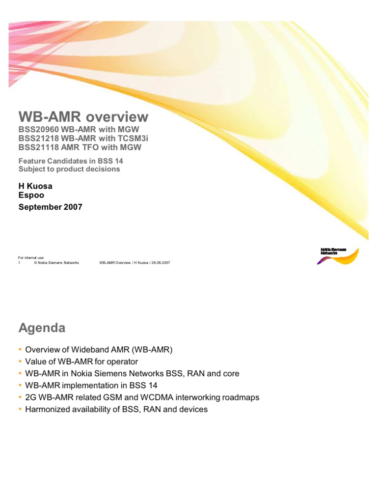 WB AMR Overview | PDF