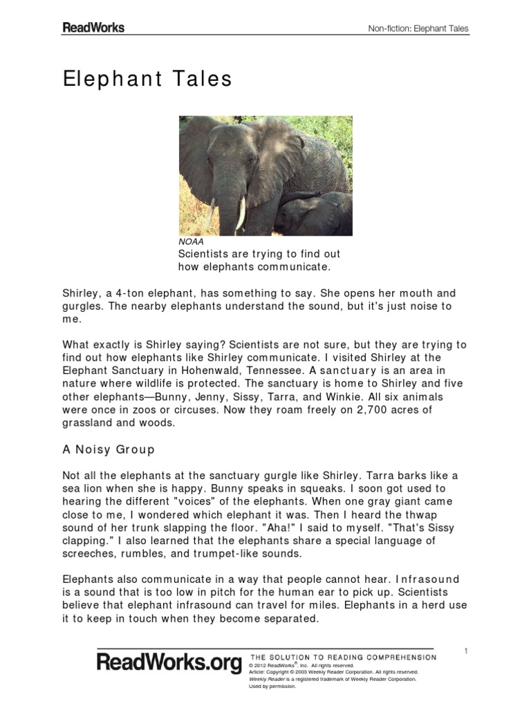 Reading Passage | PDF | Elephant | Wildlife