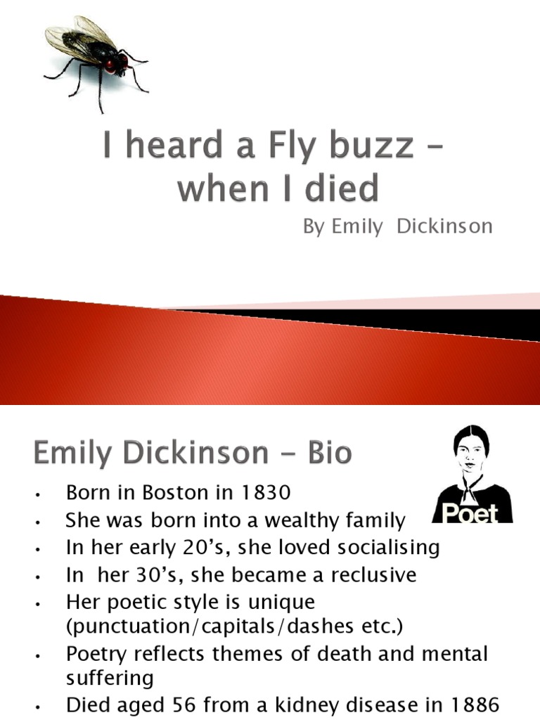 I Heard A Fly Buzz | PDF | General Fiction