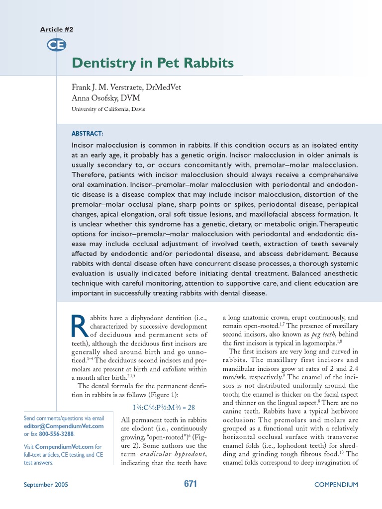 Dentistry in Pet Rabbits: Abstract | PDF | Anesthesia | Dental Anatomy