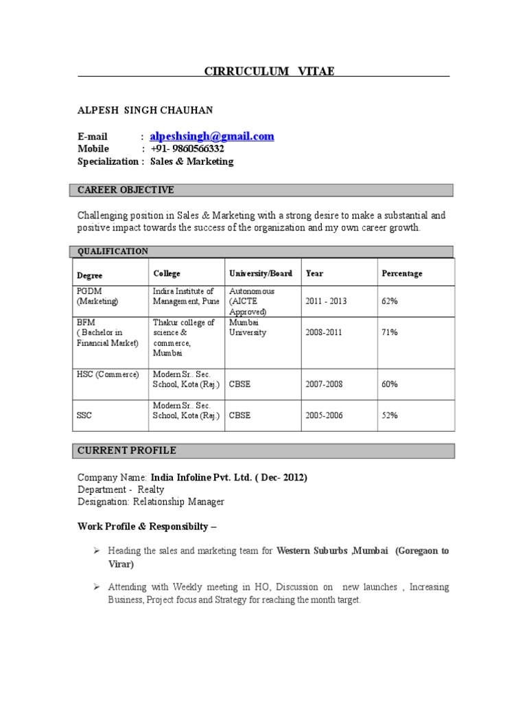 Alpesh - CV | PDF | Economies | Business