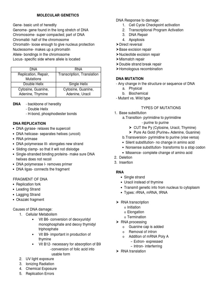Blood Banking | PDF | Dna Repair | Dna