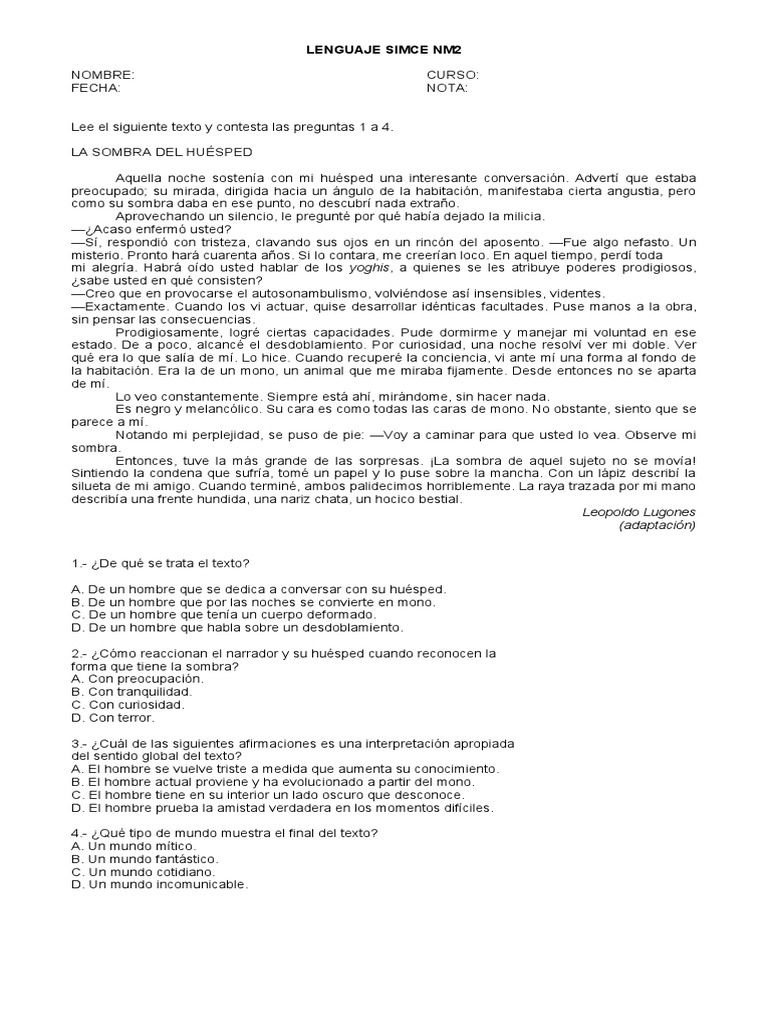 Ensayo SIMCE 2° Medio | PDF