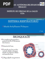 Neumocitos Tipo 1 y 2 - Histologia | PDF