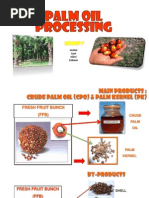 FFB Grading | PDF | Fruit | Palm Oil