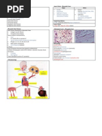ASDAS Calculator | PDF | Back Pain | Musculoskeletal Disorders