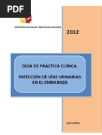 GPC Ivu | PDF | Infección del tracto urinario | Cuidado de la salud