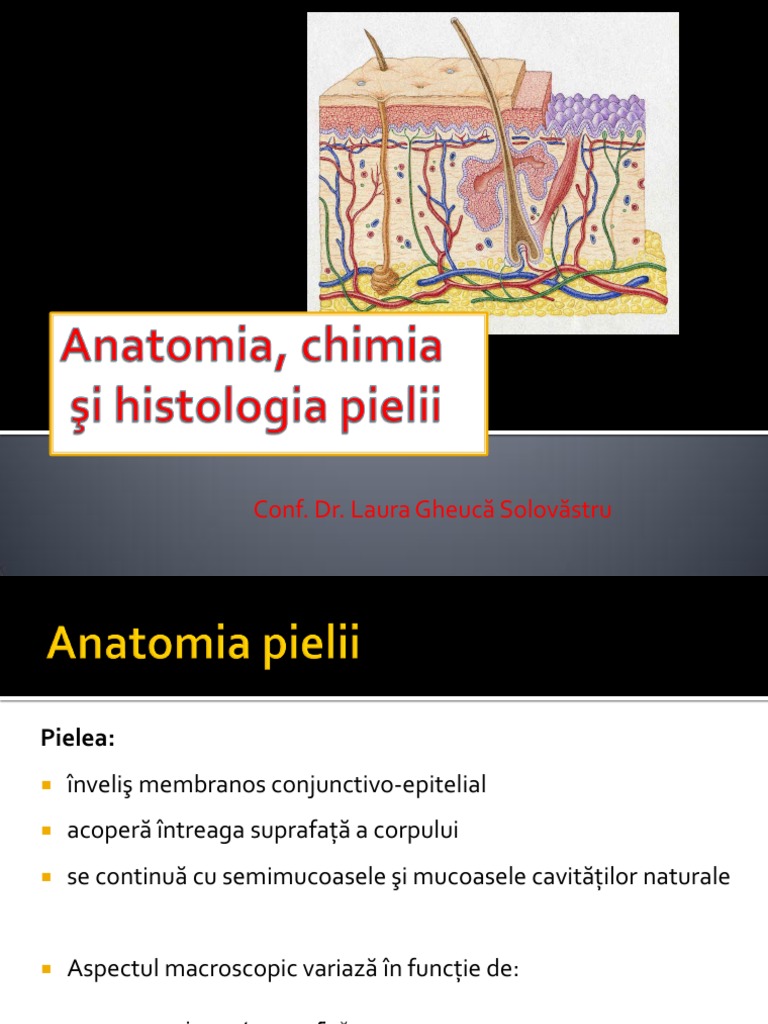Curs Dermatologie. Anatomia Şi Histologia Pielii | PDF