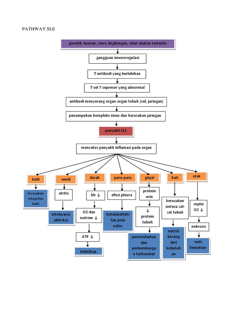 Patofisiologi dan Pathway SLE | PDF | Griya & Taman | Sains & Matematika
