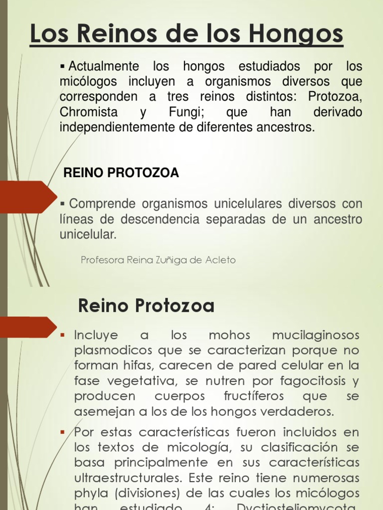 Myxophyta 2014 | PDF | Hongo | Biología