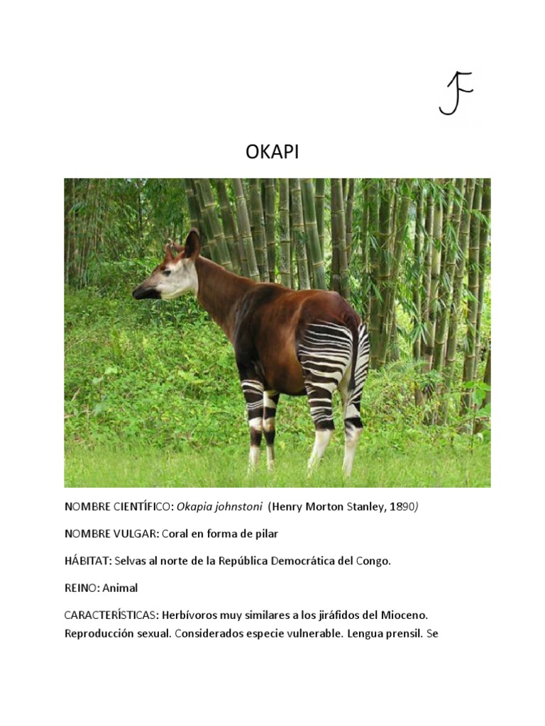 Okapi | PDF