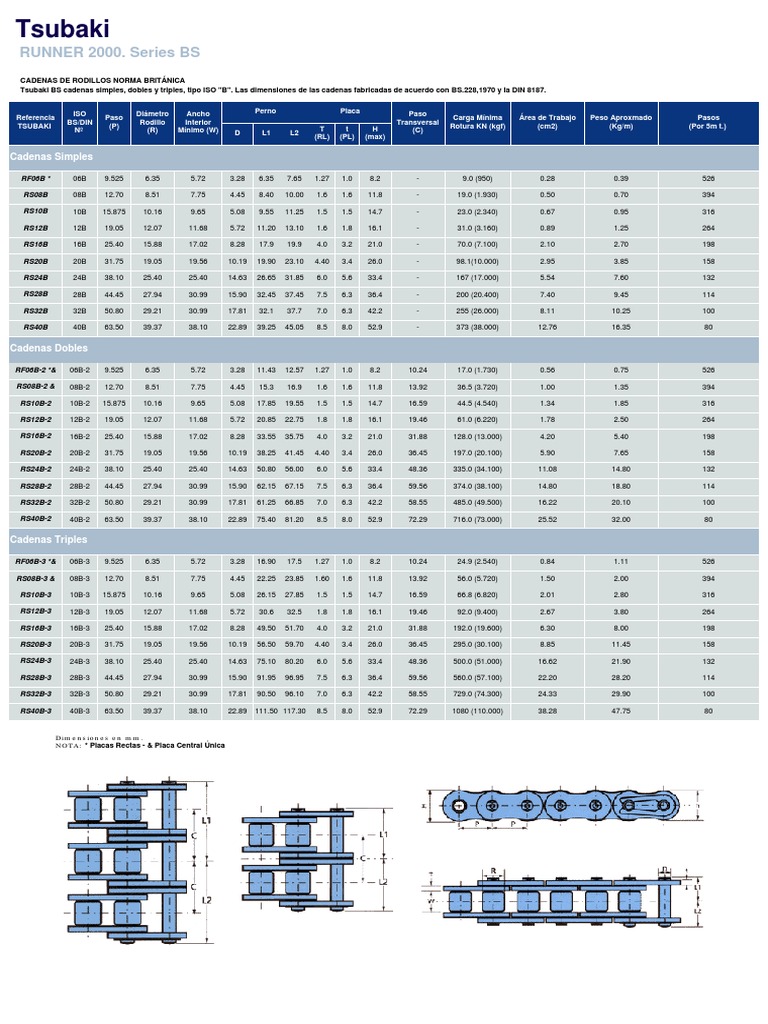 Cadenas Norma Europea | PDF
