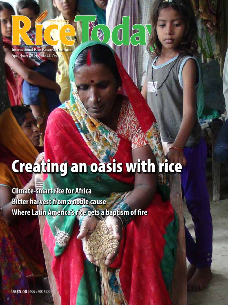 Rice Today Vol. 13, No. 2 | PDF | International Rice Research Institute ...