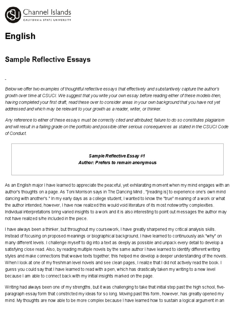 Sample Reflective Essays | Essays | Academic Publishing