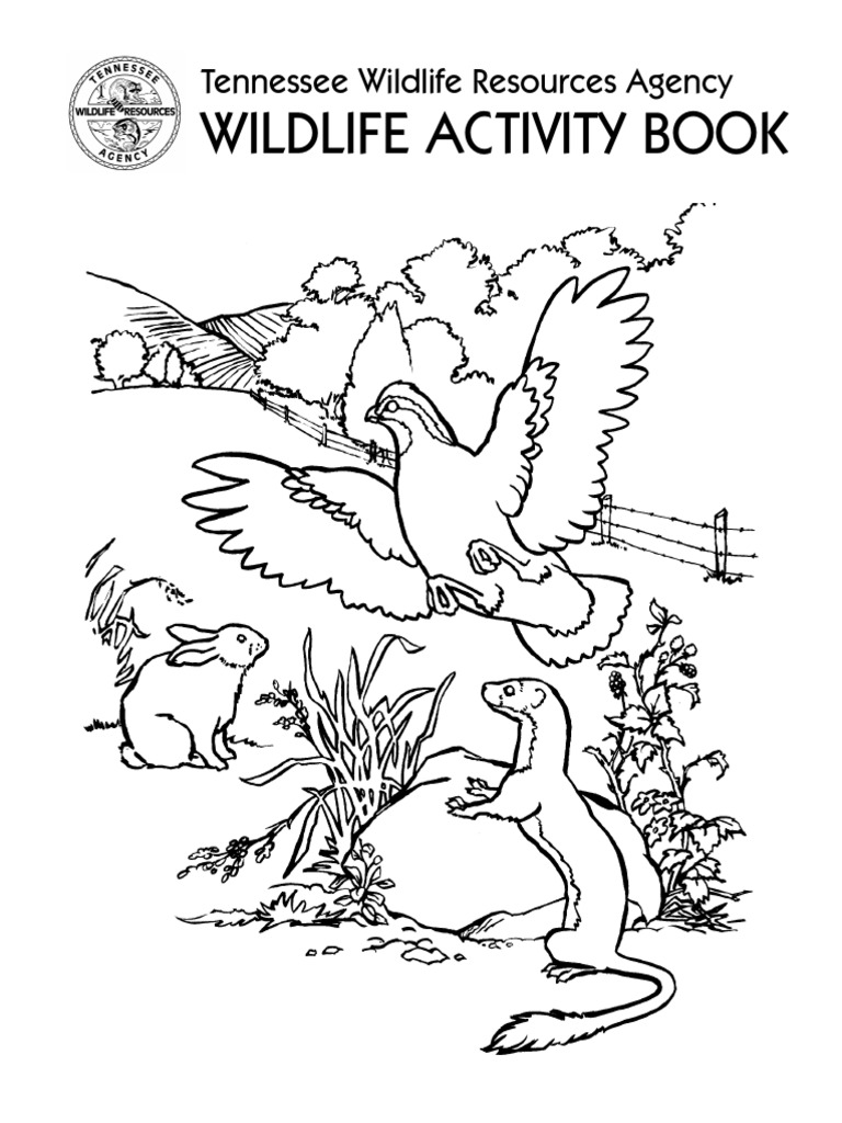 Coloring Book | PDF | Hunting | Wildlife