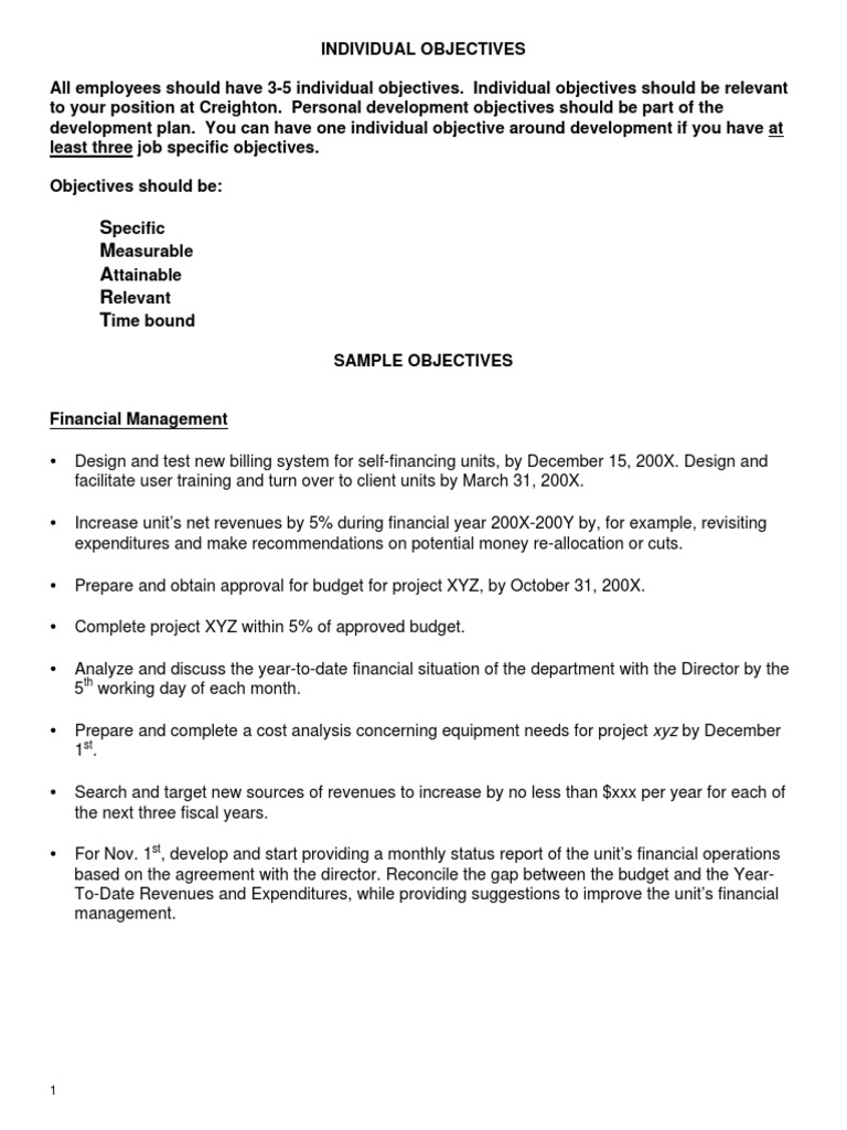 Example Individual Objectives | PDF