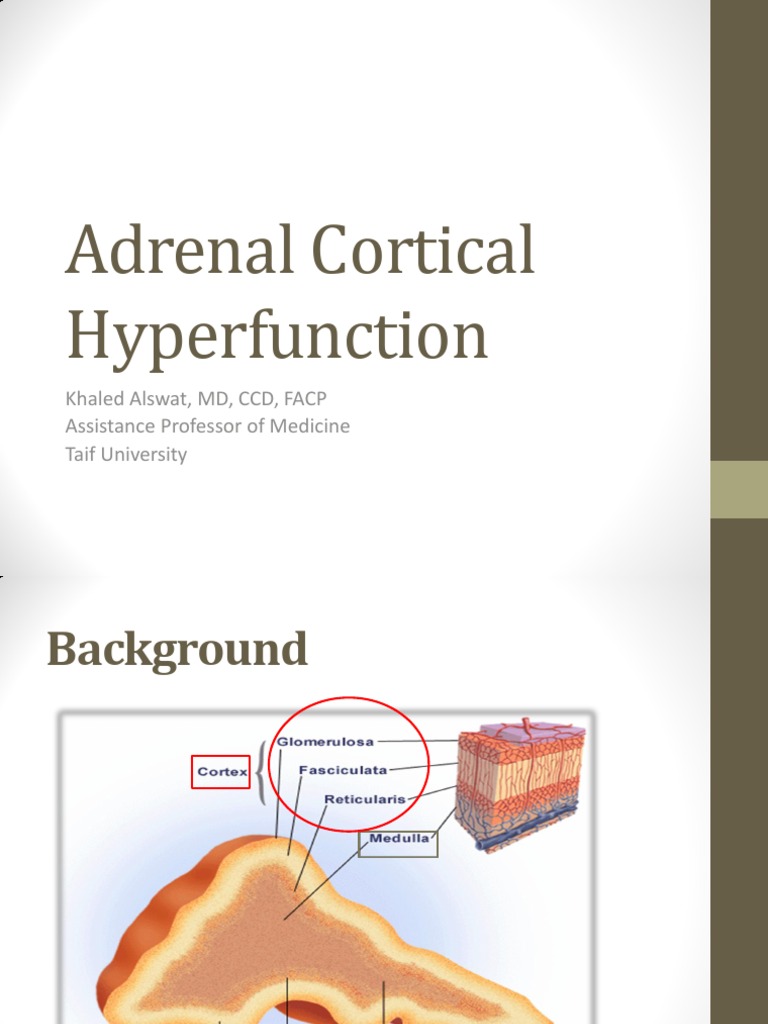 Adrenal Hyperfunction Insights | PDF | Adrenal Gland | Endocrine System