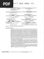 AWWA M11 - 4th Edition - Steel Pipe- A Guide for Design and ...