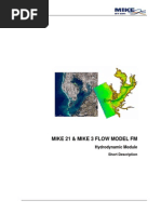 MIKE 21 Hydrodynamic Module Guide | PDF | Time Series | Fluid Dynamics