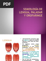 Microglosia y Macroglosia | PDF | Inflamación | Lengua