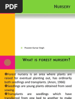 Nursery Bed Types and Seed Sowing Guide | PDF | Plant Nursery | Sowing