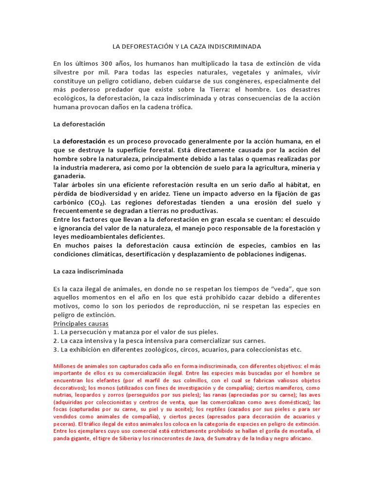 Caza Indiscriminada y sus Consecuencias | PDF | Deforestación ...