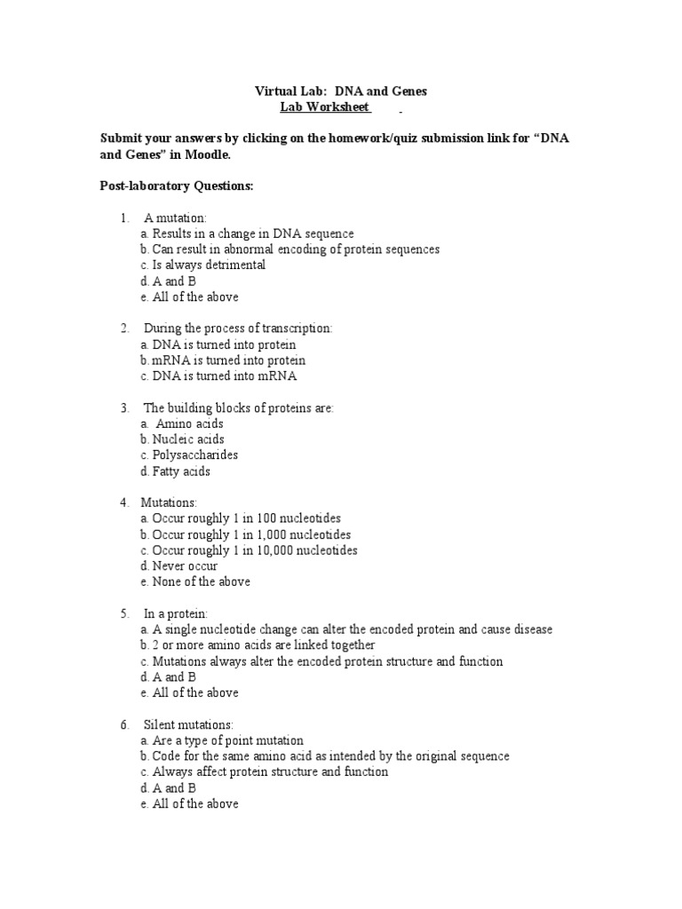 DNA and Genes Lab Worksheet | PDF | Genetic Code | Nucleic Acid Sequence