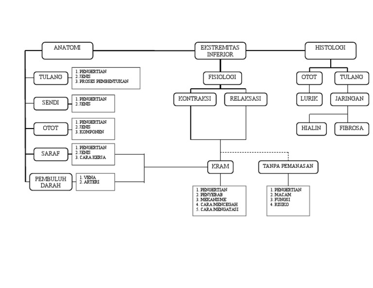 Mind Map 2 | PDF | Sains & Matematika